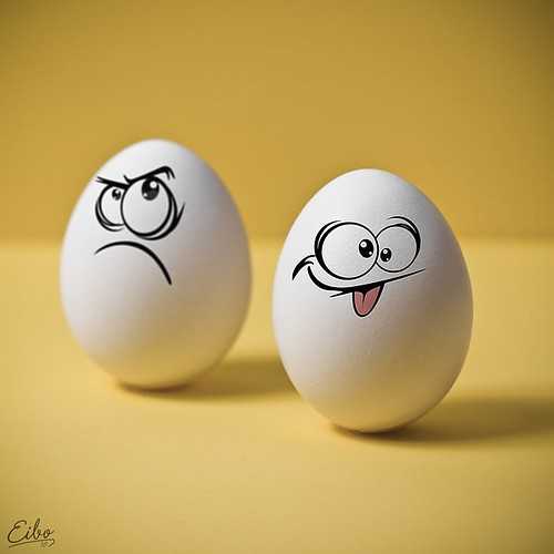 Creative Egg Designs Creative Egg Decorations Creative Egg Designs Creative Egg Decorations